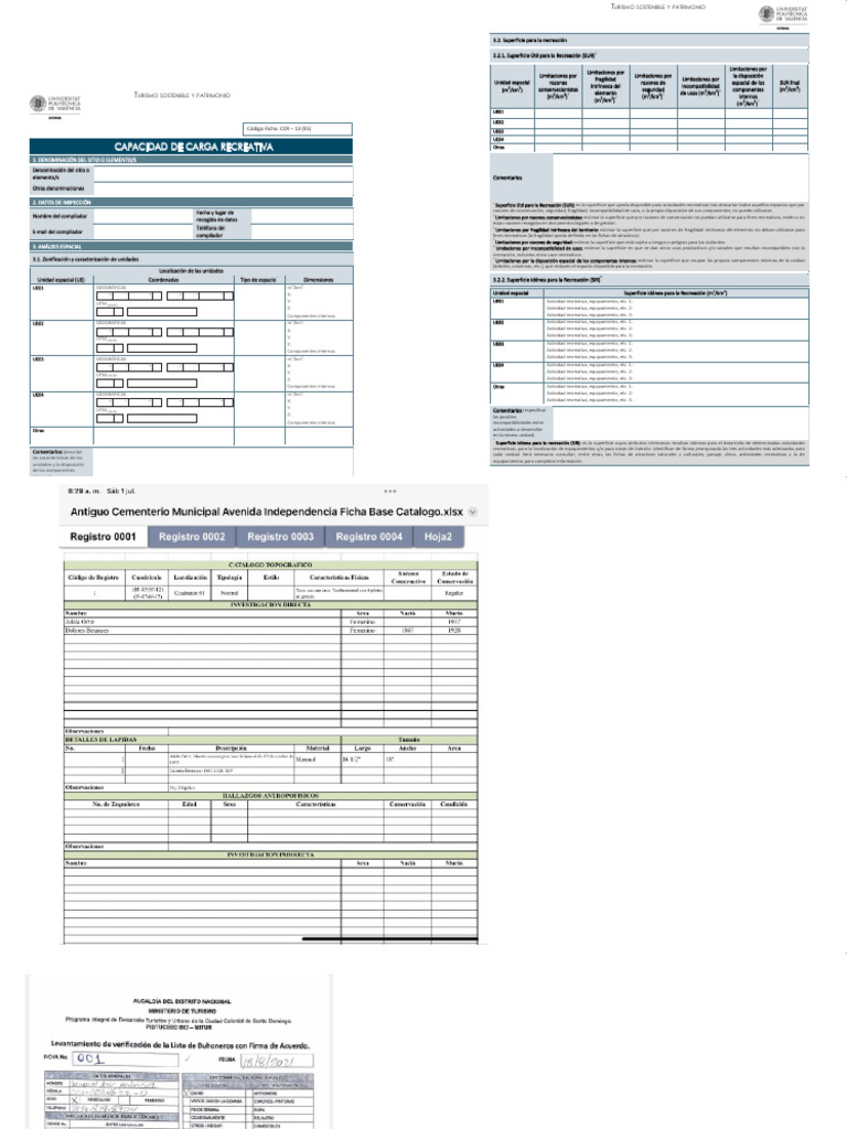 Fichas Levantamiento | PDF