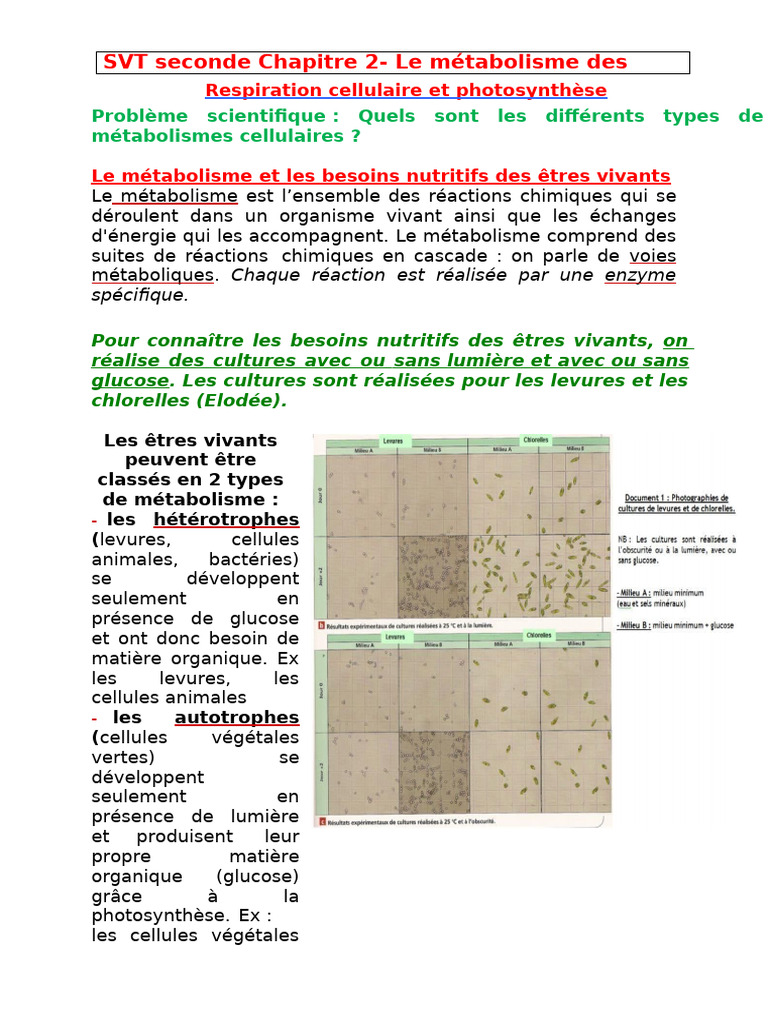 Chapitre-2-cellules (1) 2 | PDF | Cellule (Biologie) | Métabolisme