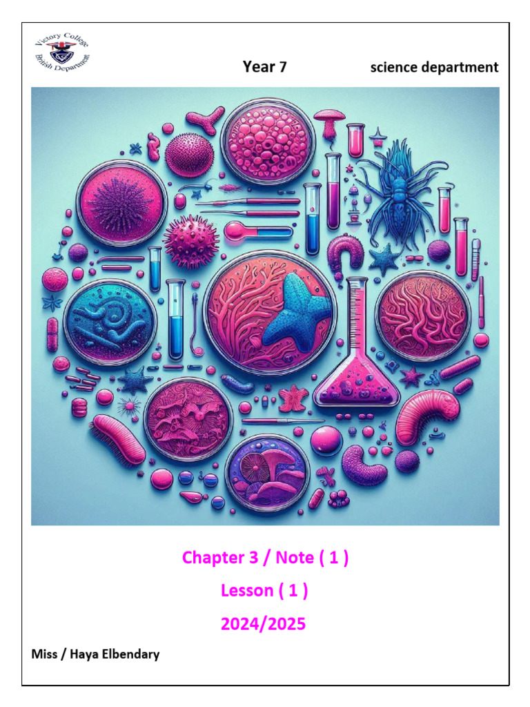 Chapter 3 Lesson 1 Sheet 1 Y.7.docx 2 | PDF