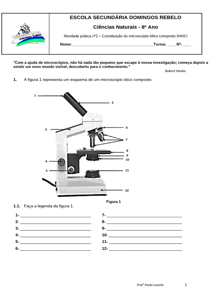Anatomia do Microscópio Óptico Composto | PDF | Radiação ...