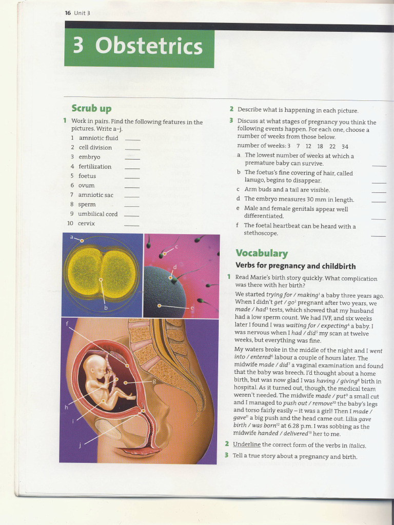 Obstetrics - Nursing Book | PDF