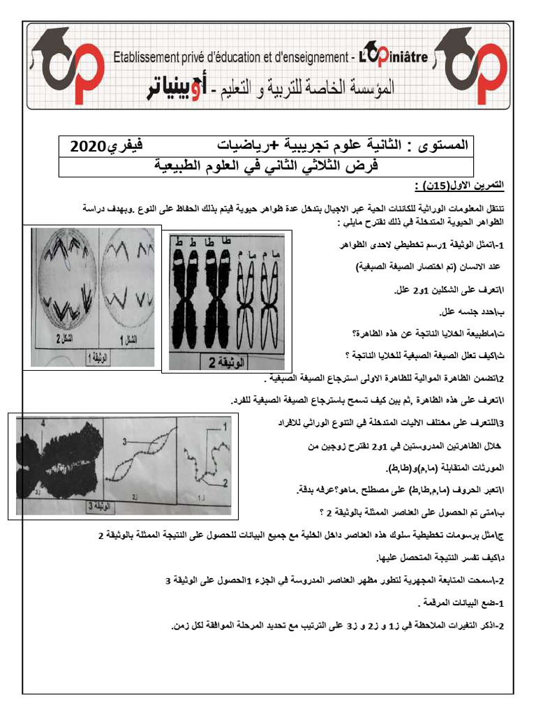 dzexams-2as-sciences-1018115 | PDF