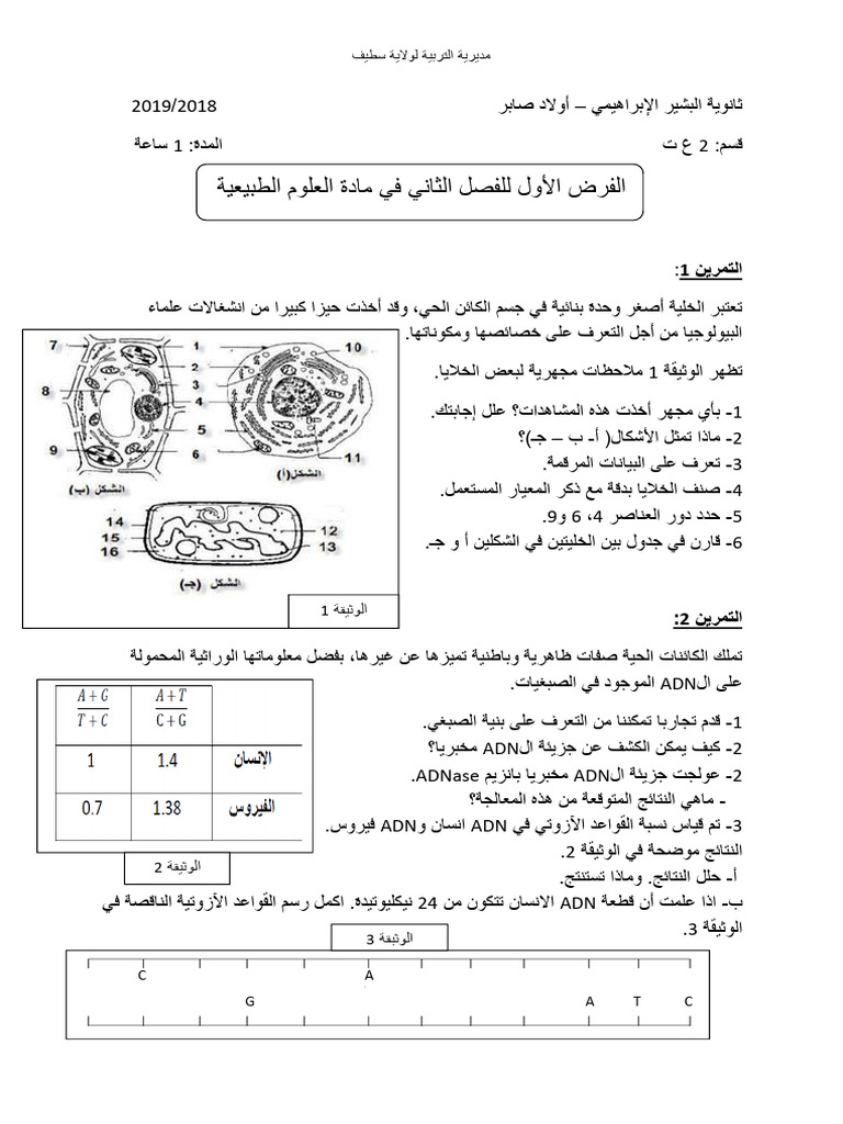 Dzexams 2as Sciences 914401 | PDF