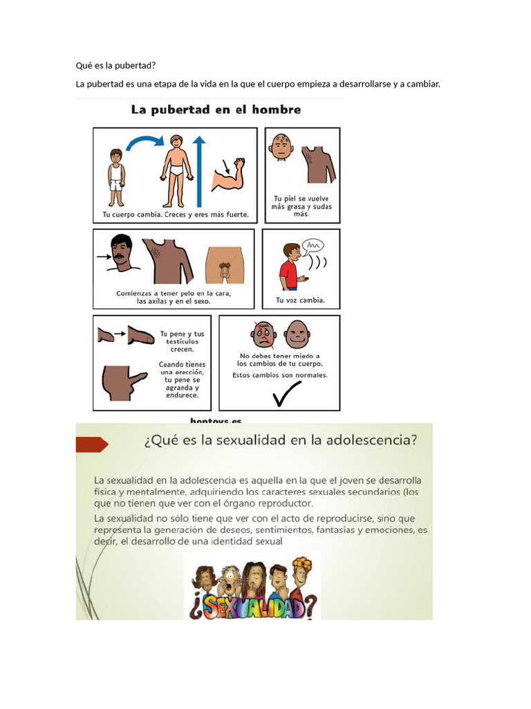 Qué Es La Pubertad | PDF