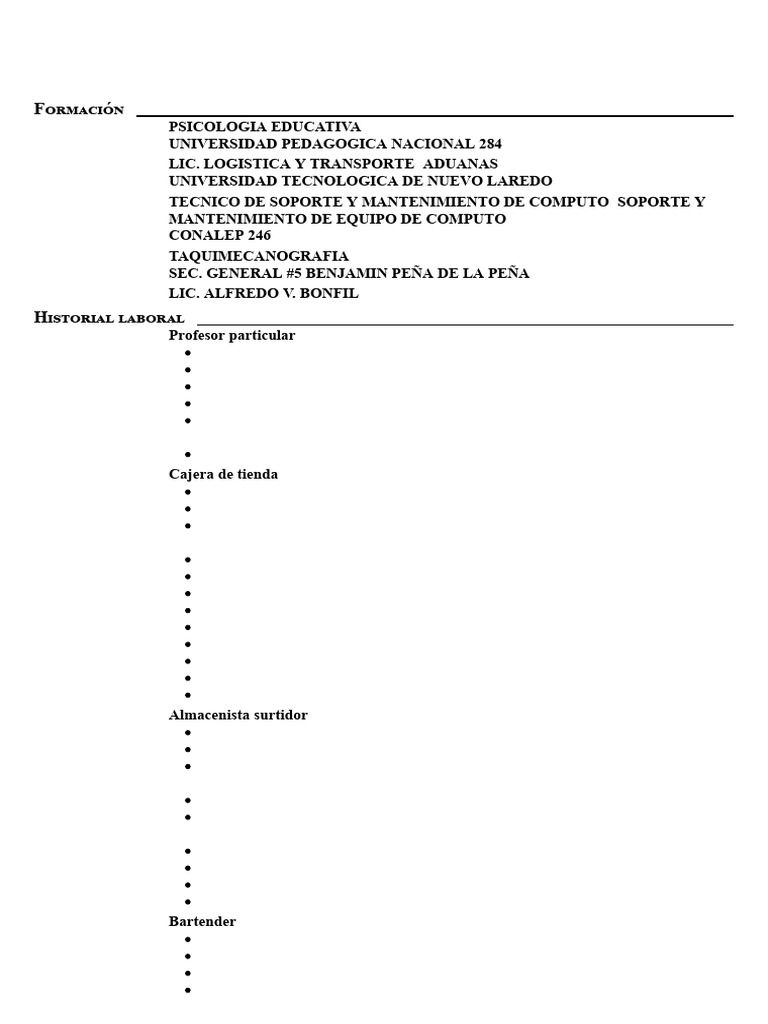 Alonso Martinez Costilla Cv | PDF | Logística | Business