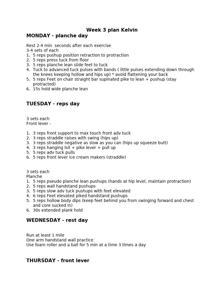 Week 3 Plan Kelvin | PDF