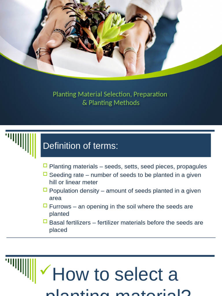 Planting Material Selection & Methods Guide | PDF | Sowing | Seed