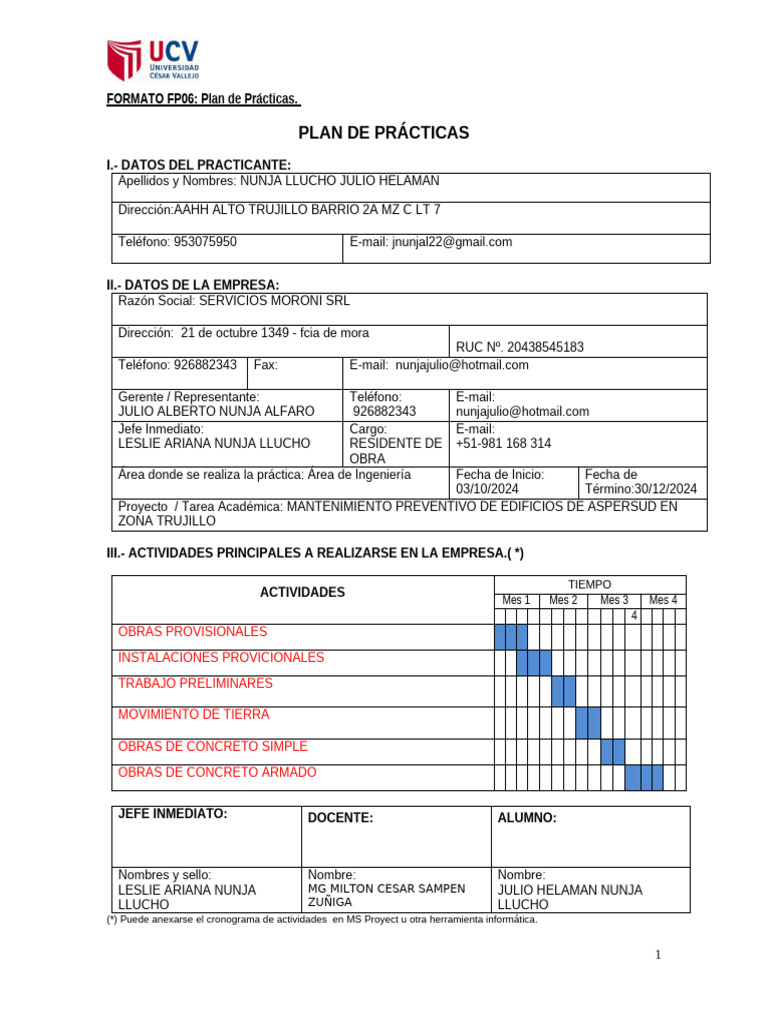 FORMATO FP06- PLAN DE PRACTICAS (1) | PDF