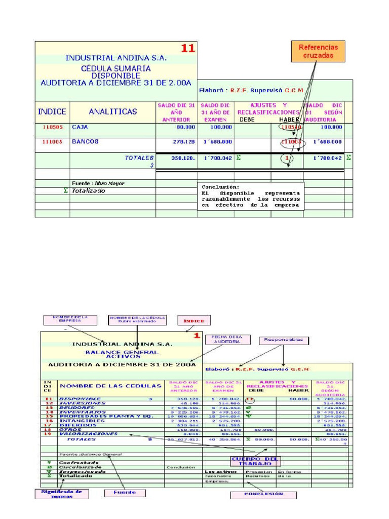 Cedulas de Auditoria | PDF