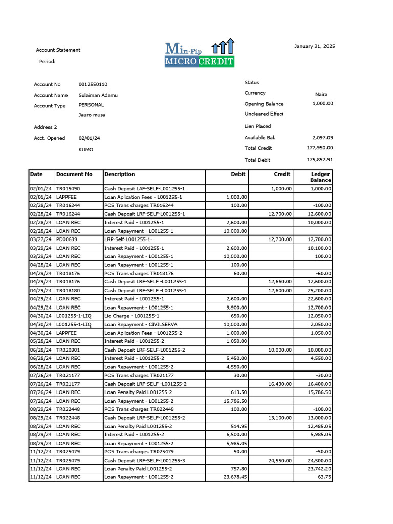 Account Statement | PDF | Debits And Credits | Interest
