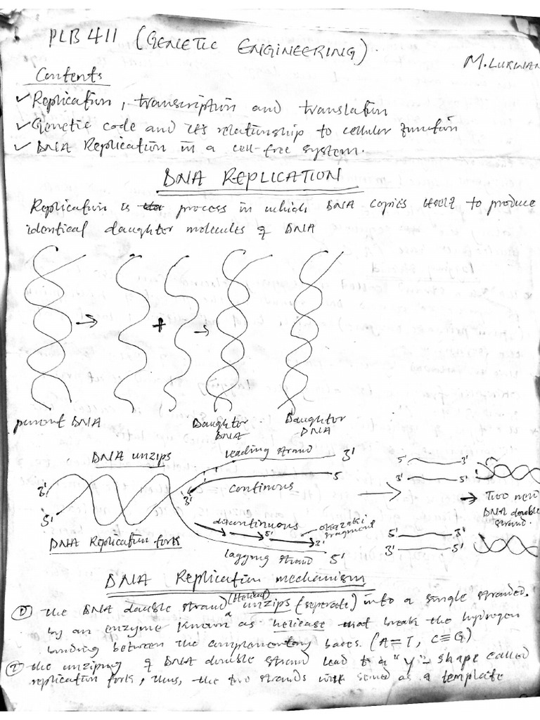 PLB 411( genetic engineering) mall.Lurwan part | PDF