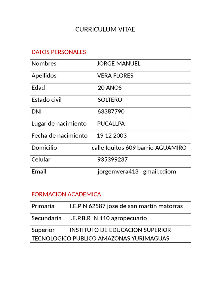 Currículum Vitae de Jorge Vera Flores | PDF