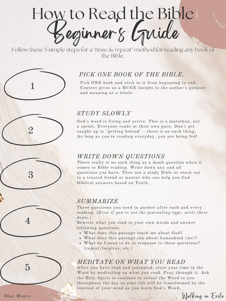 Reading Bible Beginner's Guide | PDF | Bible | Abrahamic Religions