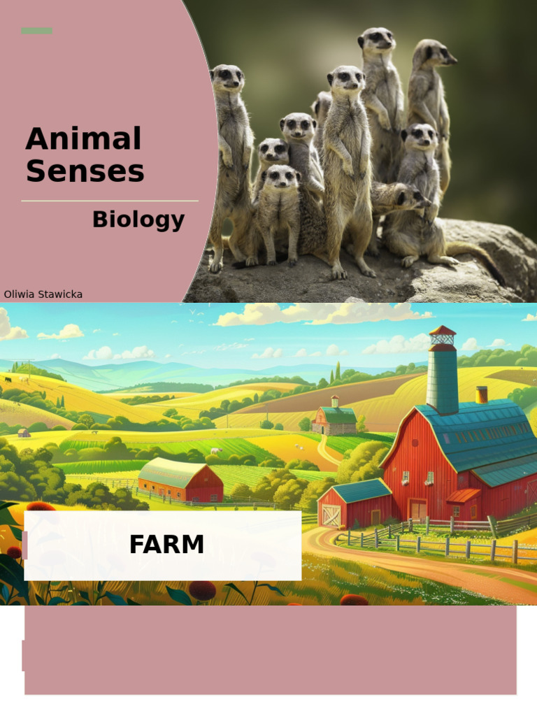 Prezentacja Animal Senses | PDF