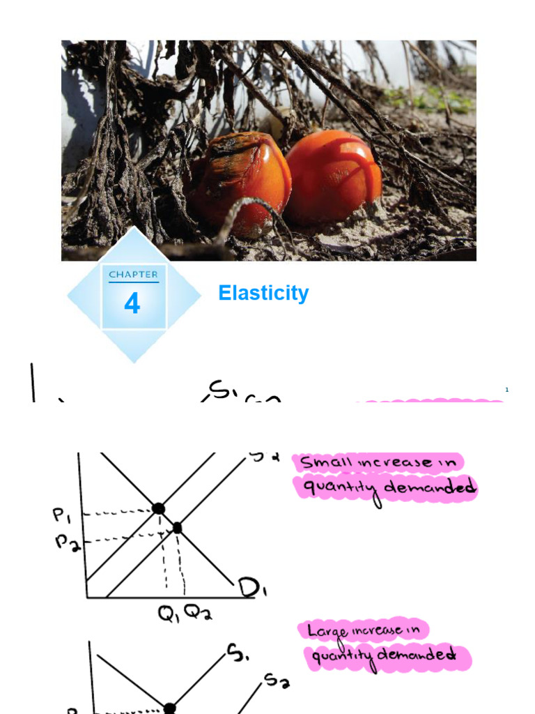 Chapter 4 | PDF | Elasticity (Economics) | Demand