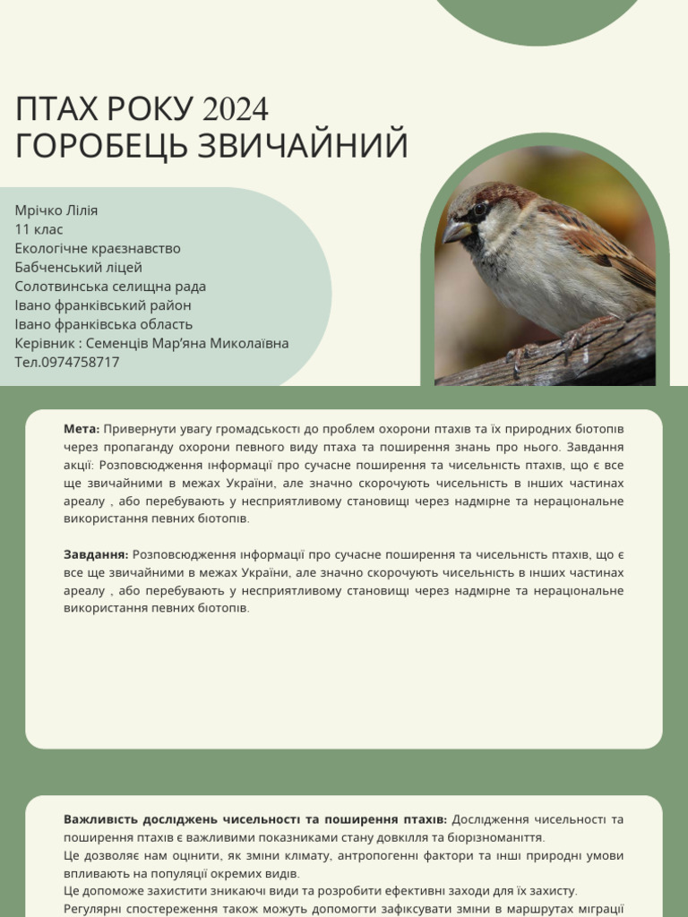 Птах року 2024 - 20241004 - 232228 - 0000 | PDF