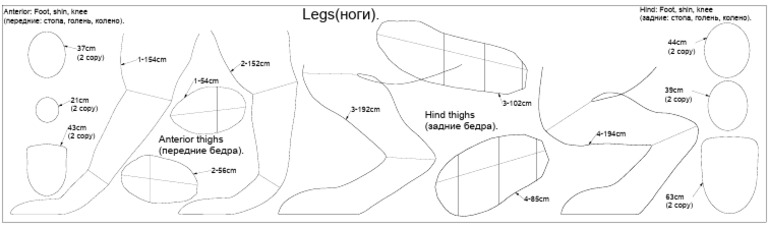 Legs (ноги) | PDF