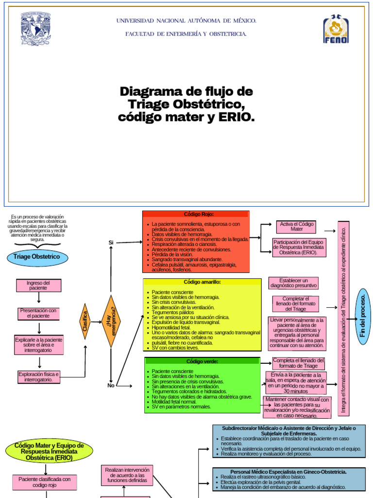 Triage Obstétrico: Proceso y Códigos | PDF | Partería | Cuidado de la salud