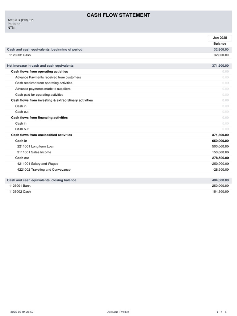 cash_flow_statement | PDF | Cash | Cash Flow Statement