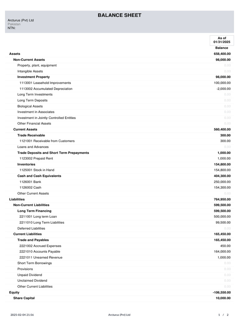 balance_sheet | PDF | Balance Sheet | Equity (Finance)