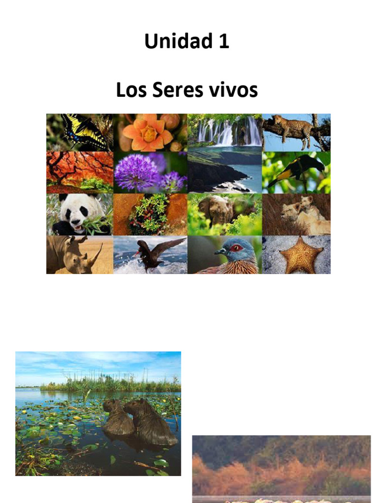 Unidad_1__-_Los_seres_vivos | PDF | Biología Celular) | Organismos