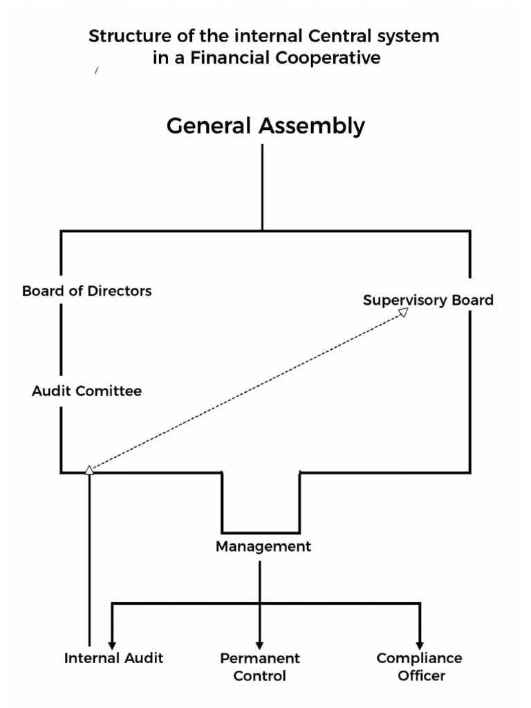 Structure of The Internal Central System | PDF