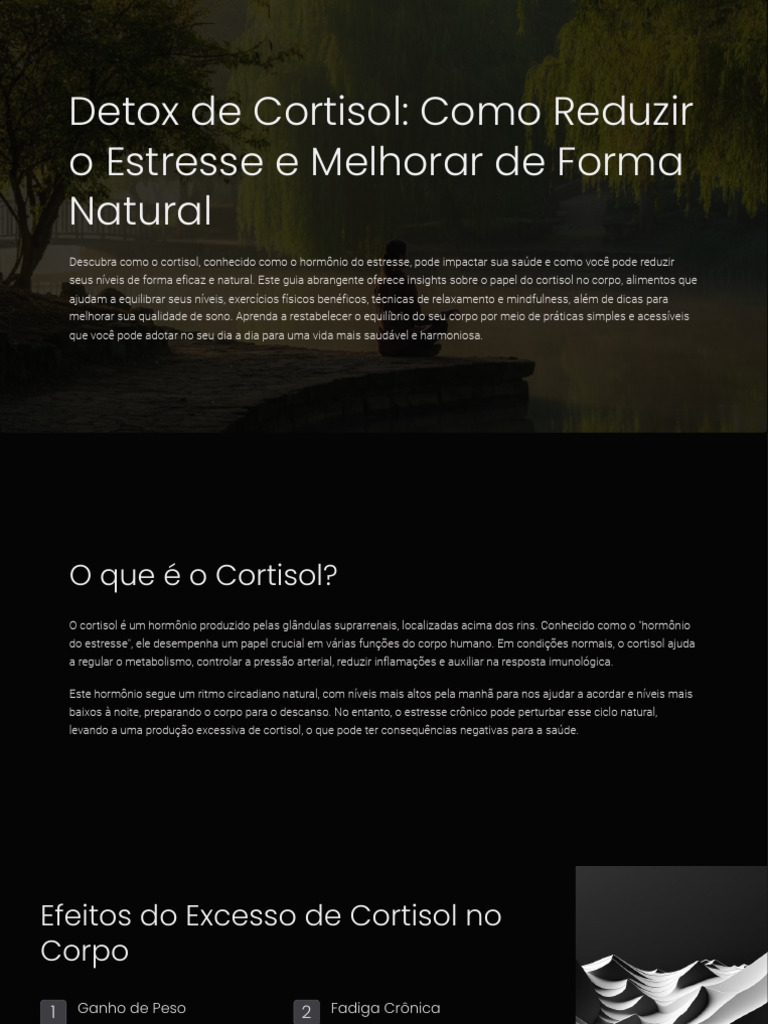 Detox-de-Cortisol-Como-Reduzir-o-Estresse-e-Melhorar-de-Forma-Natural ...