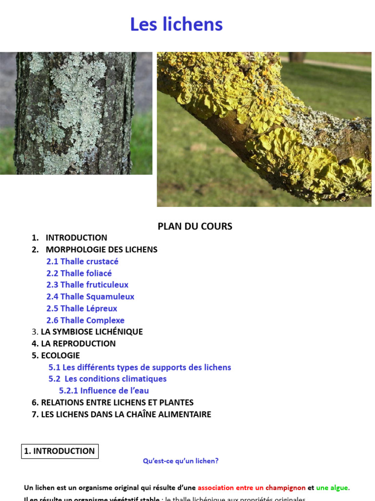 Morphologie et Symbiose des Lichens | PDF | Renne | Champignons