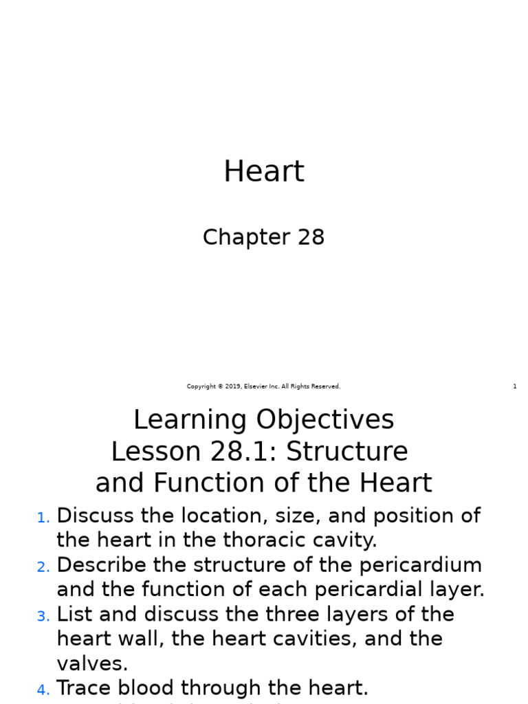 Chapter 028 | PDF | Heart Valve | Heart