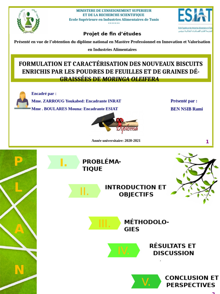 PFE Master | PDF | Substances chimiques