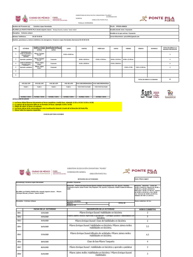 Formatos Informes Promotores 2025 | PDF