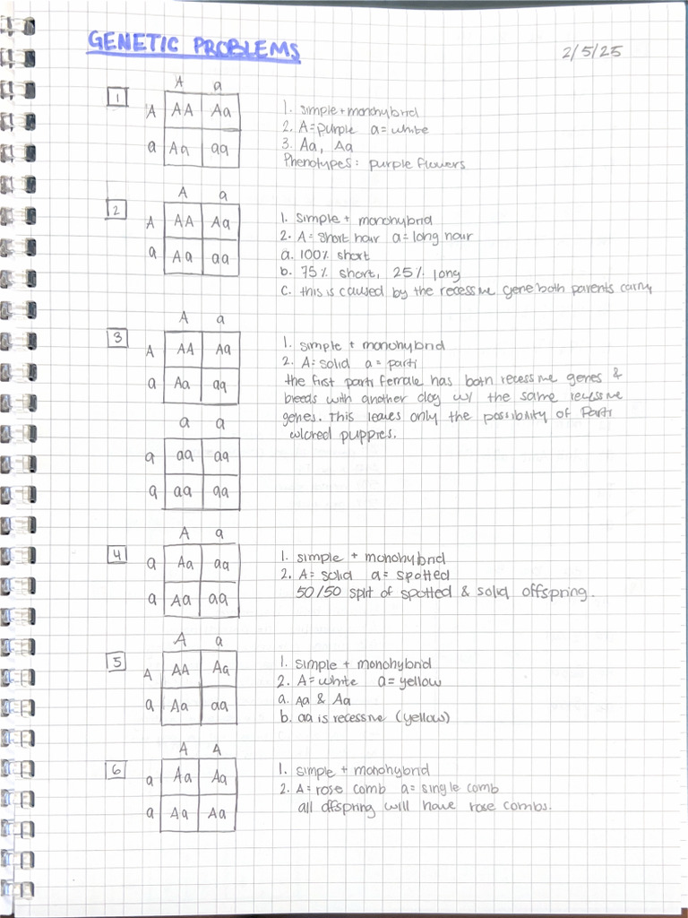 Genetic Problems | PDF