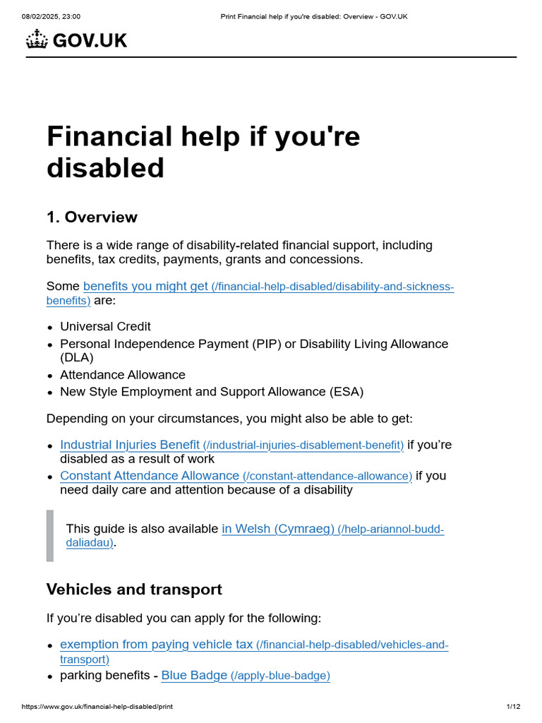 Financial Support for Disabled Individuals | PDF