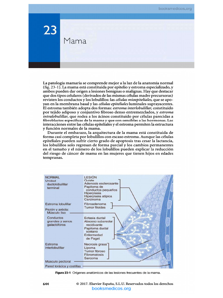 Cap Mama | PDF