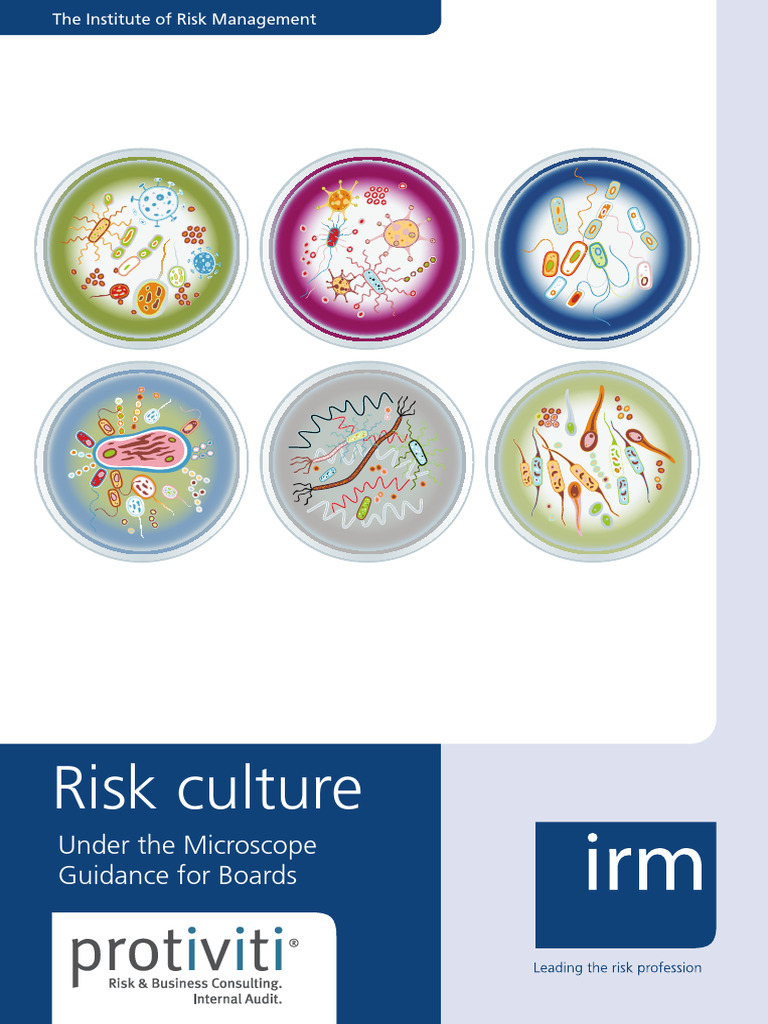 The Institute of Risk Management | PDF | Risk | Morality