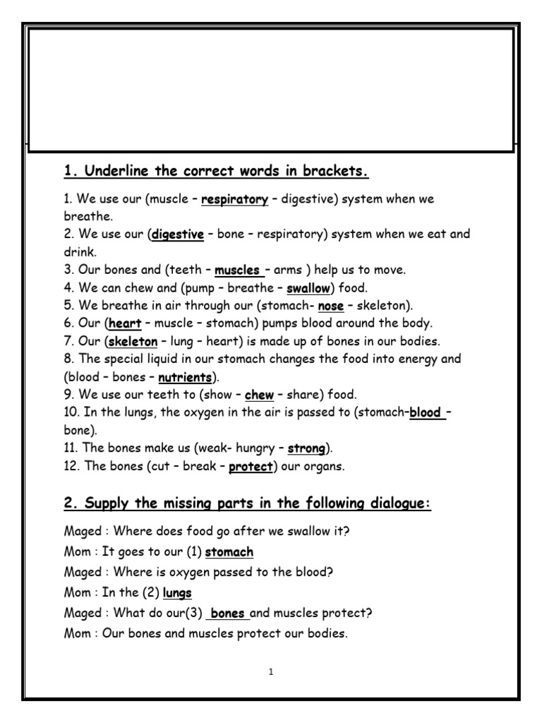 Connect Plus 4 Final Revisin Units 1-2 Model Answer | PDF | Amphibian ...