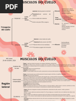 Musculos de La Nuca | PDF | Anatomía humana | Sistema musculoesquelético