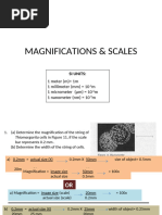 Calculation-Magnification-Qs Pack-Gcse | PDF | Micrograph | Cell (Biology)
