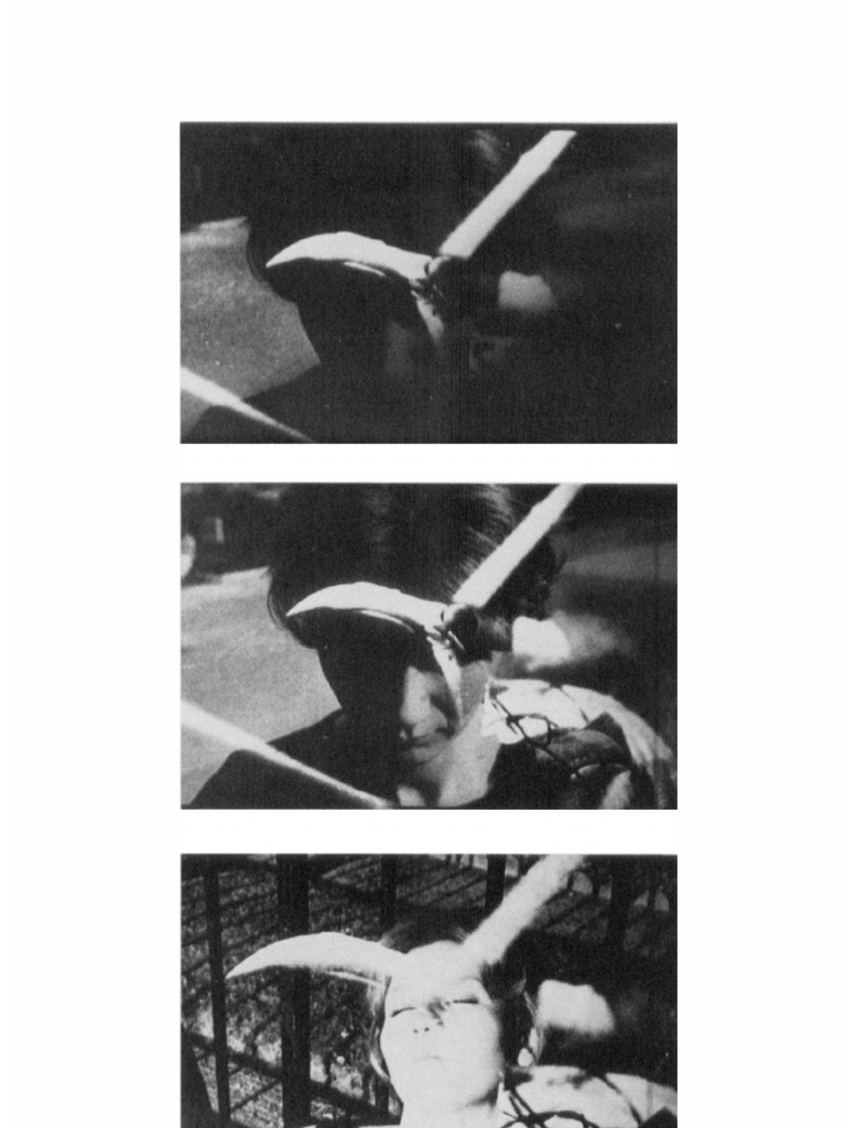 Lacan's Metaphor and Metonymy in Film | PDF | Jacques Lacan | Metaphor