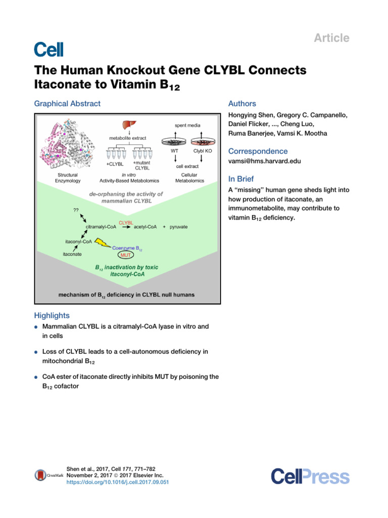 The Human Knockout Gene CLYBL Connects Itaconate To Vitamin B12 | PDF ...