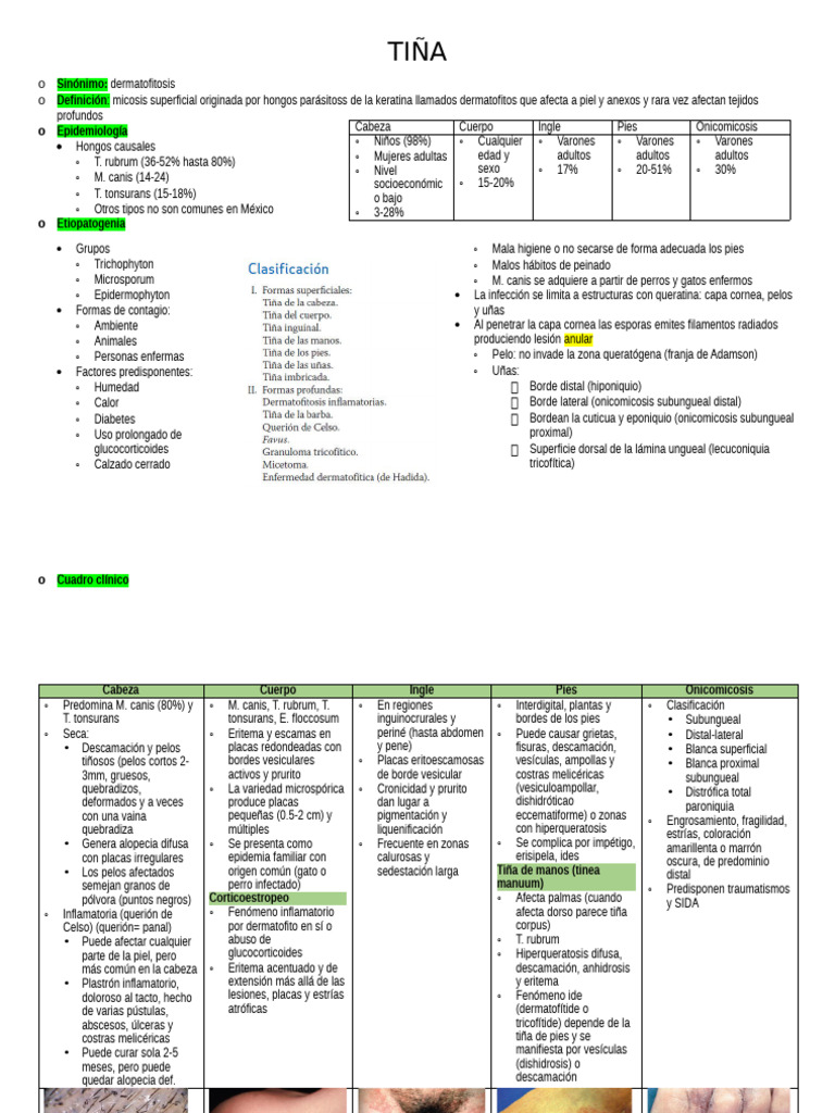 TIÑA | PDF | Dermatología | Condiciones cutáneas