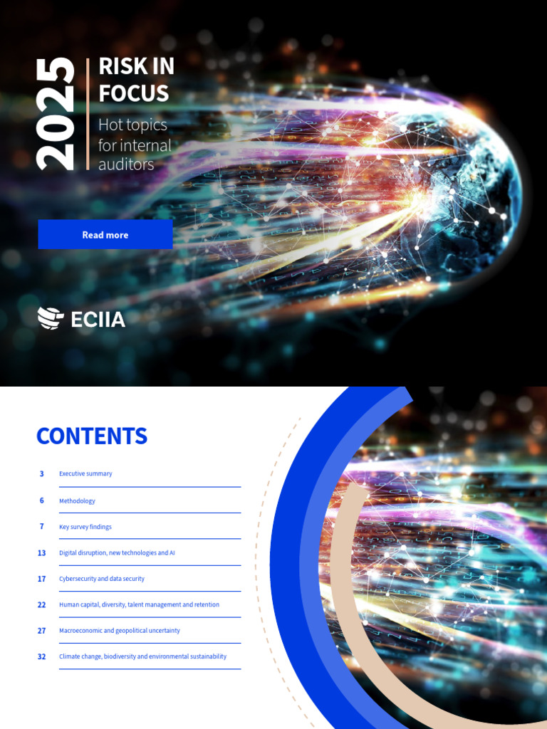 ECIIA - Risk In Focus, Hot topics for internal auditors_CAIG | PDF ...