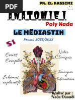 Anatomie du Médiastin: Structure et Zones | PDF | Thymus (anatomie) | Aorte