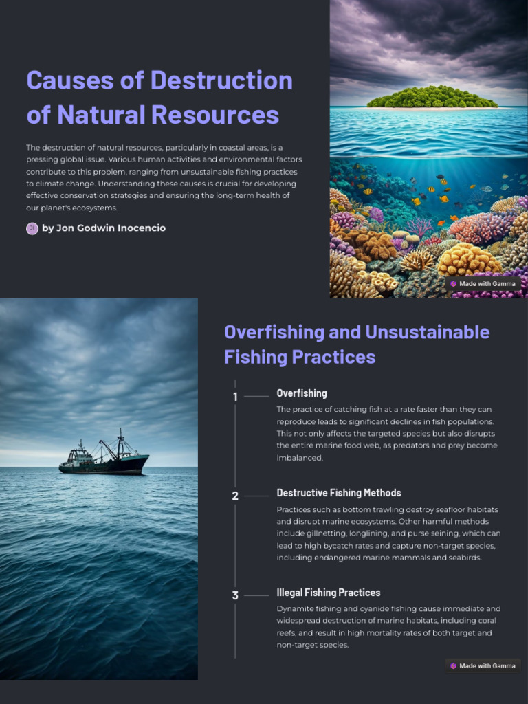 Causes of Destruction of Natural Resources | PDF | Wetland | Habitat ...