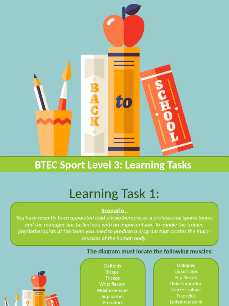 BTEC Sport Level 3: Learning Tasks | PDF | Soft Tissue | Limbs (Anatomy)