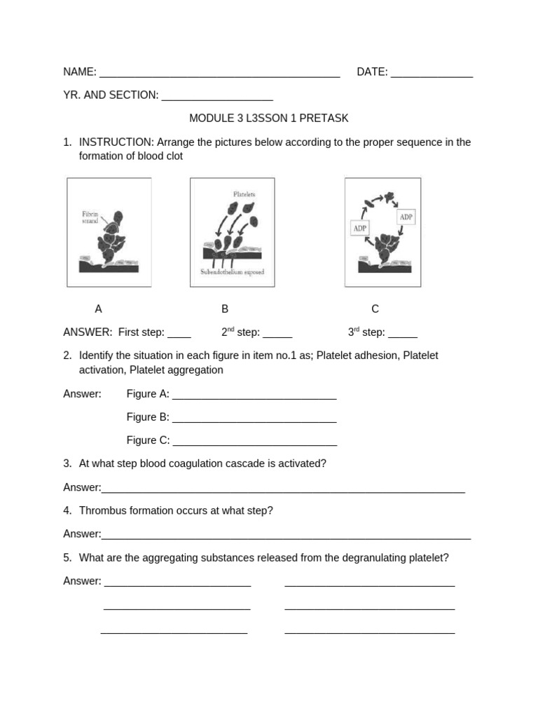 M3 Lesson 1 Pretask | PDF