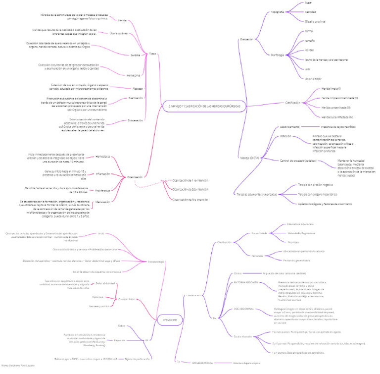 Apendicitis Mapa Ciru | PDF