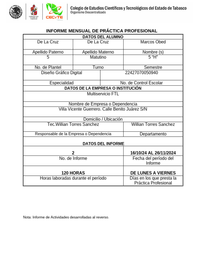 2do Informe Mark | PDF