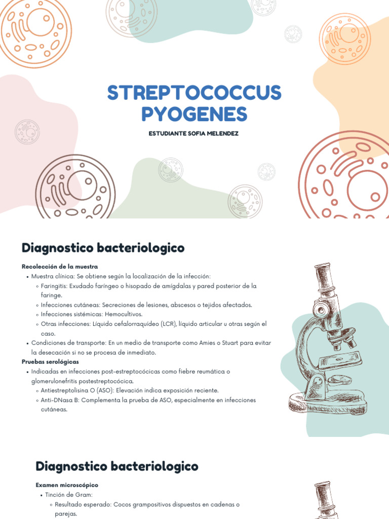 Streptococcus Pyogenes | PDF | Penicilina | Estreptococo