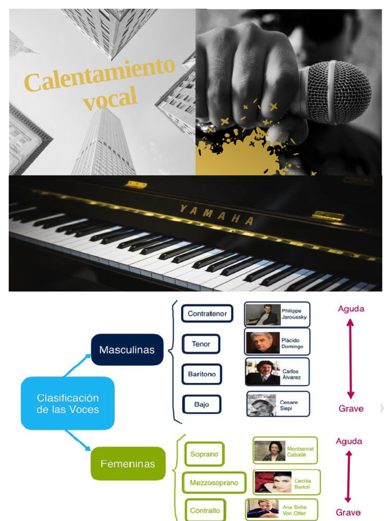 Clasificacion de Voces | PDF